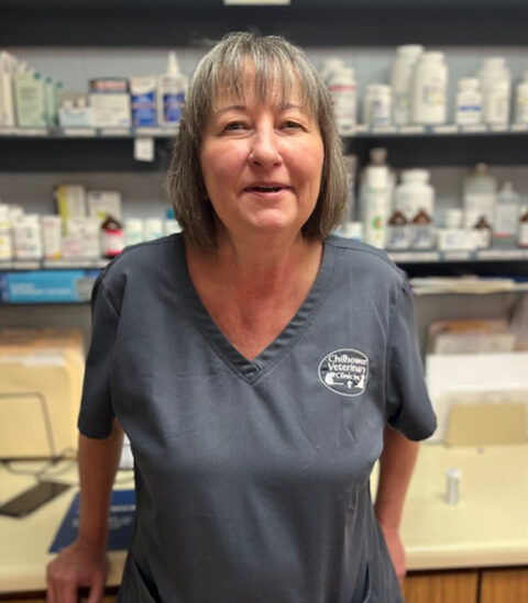 Veterinarian In Maryville, TN | Chilhowee Veterinary Clinic