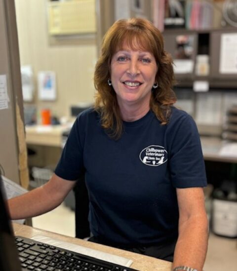 Veterinarian In Maryville, TN | Chilhowee Veterinary Clinic